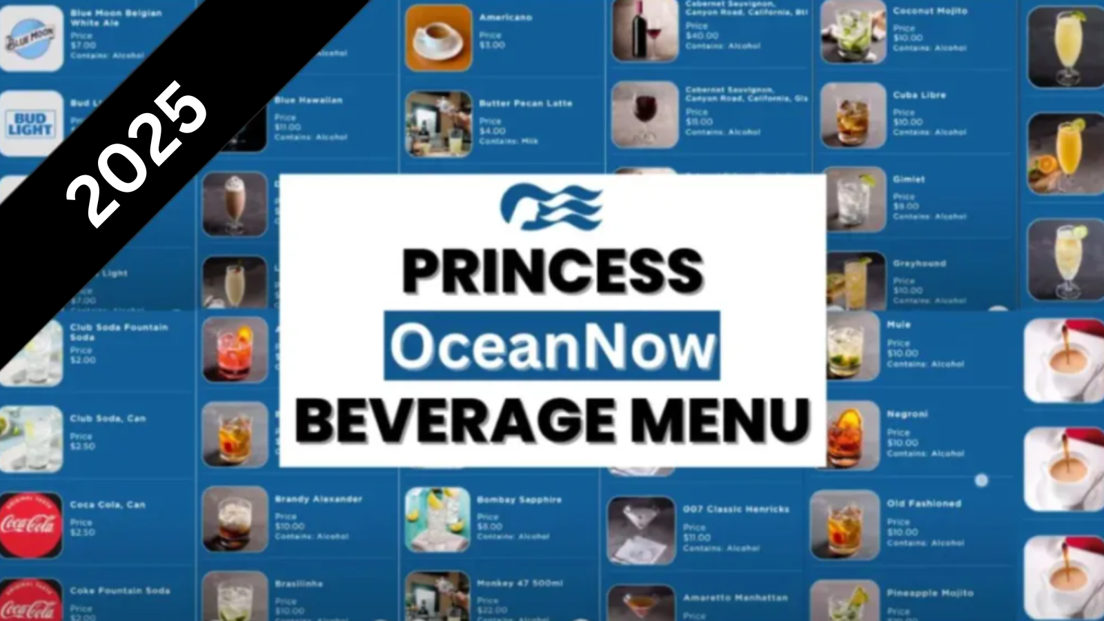Princess Ocean Now Beverage Menu 2025 · Prof. Cruise, Ship Tour, Cruise ...
